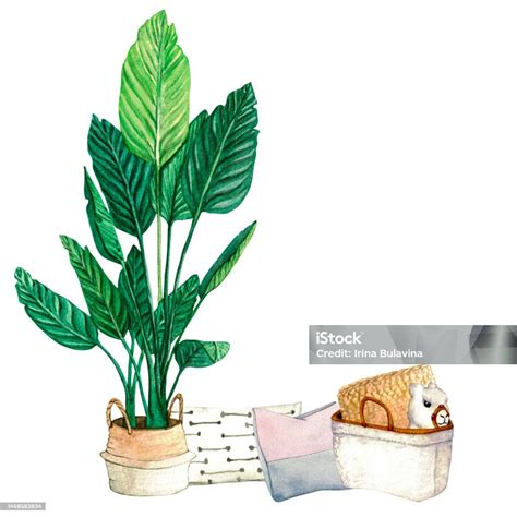 고리 버들 바구니 장난감 라마 장식 요소와 나무 선반입니다 수채화 그림 소파 베개 장식이 있는 거실의 인테리어 클립 아트 흰색 배경에 가정 장식 요소 가구에 대한 스톡 벡터