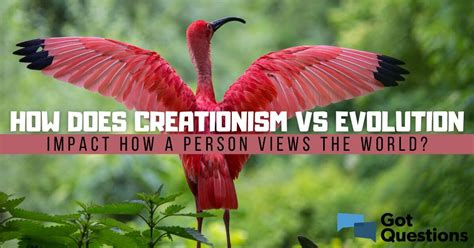 How Does Creationism Vs Evolution Impact How A Person Views The World