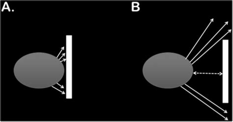 X Ray Source Advances In Paleoimaging Applications For Paleoanthropology Bioarchaeology