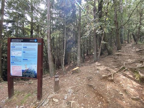 爬山趣 武陵二秀品田山池有山單攻 健行筆記
