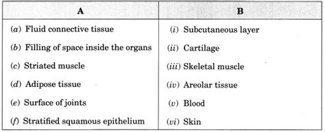 Tissues Class 9 Extra Questions And Answers Science Chapter 6 MCQ