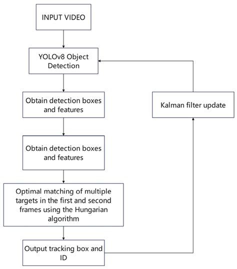 Yolosortc3d A Yolov8 Deepsort And C3d Based Method For Sheep Rumination Behavior Recognition