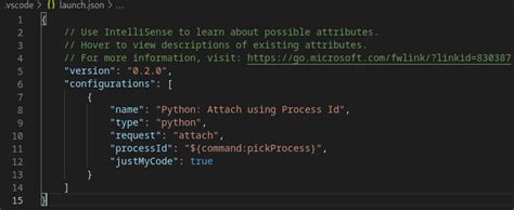 On Linux Attaching Debugger To A Running Process Causes The Process To Segfault Issue