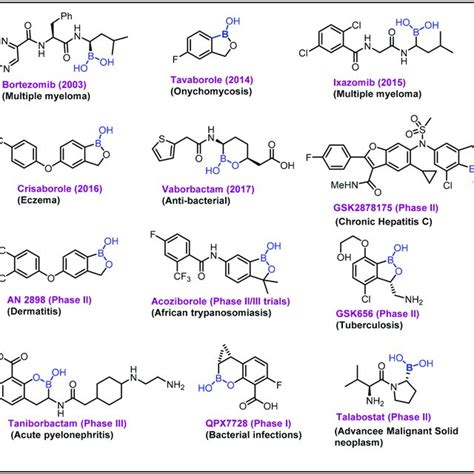 Examples And Highlights Of Boron Chemistry In Drug Discovery