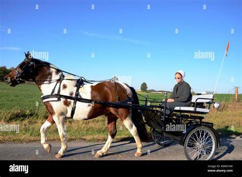 Amish Women Wearing White Bonnet And Sunglasses Driving An Open Trap On