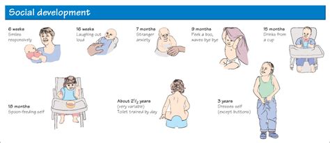 Development And Developmental Assessment Obgyn Key