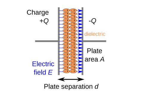 Capacitor Dielectric Effect At Michael Harbour Blog