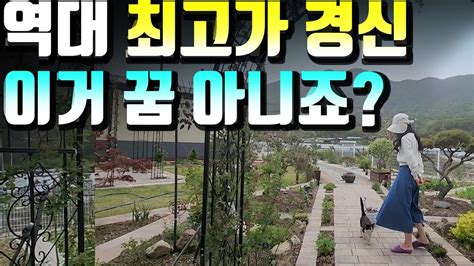 난생처음 투자 수익 봤다 나 울고 있니 Youtube