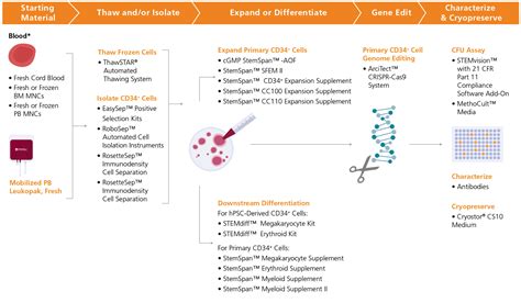 Sources Of Hematopoietic Stem And Progenitor Cells Stemcell Technologies