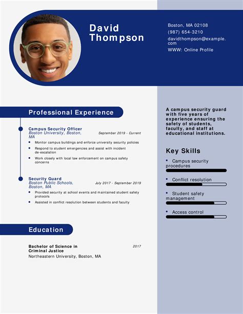 Sample Resume For Security Guard 7 Security Officer Resume Examples