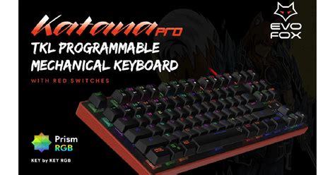 Best RGB Keyboards Under Rs