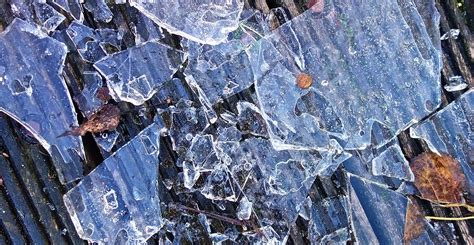 Sliverappbar In Flutter