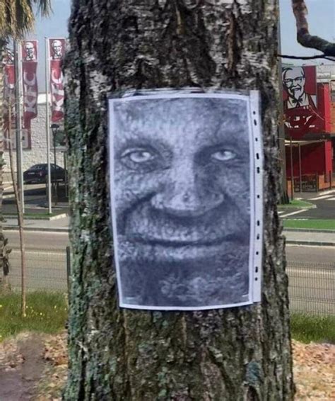 20 Cursed Images Without Context That Might Make You Question Things