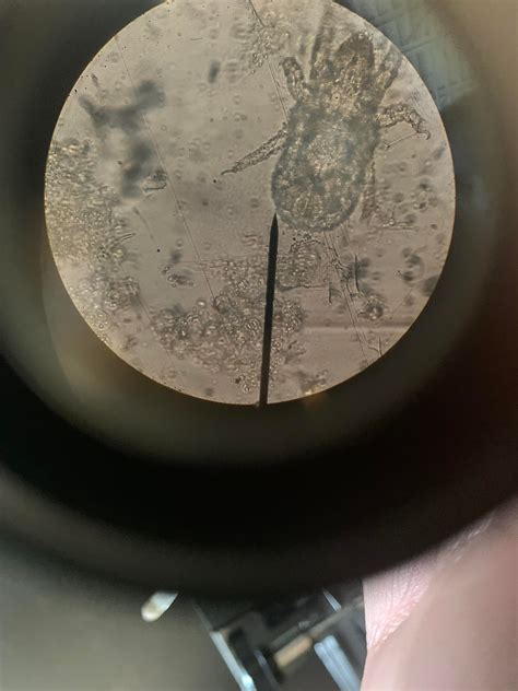 Universal Apps R Microscopy