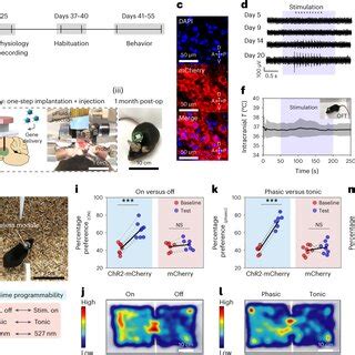 Schematic Illustration Of Microelectronics Integrated Multifunctional Download Scientific