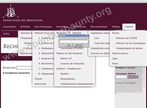 Usoe Ch Cross Site Scripting Vulnerability OBB Open Bug Bounty