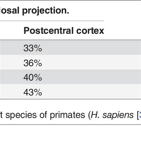 Inter Species Tractography Comparison Download Table