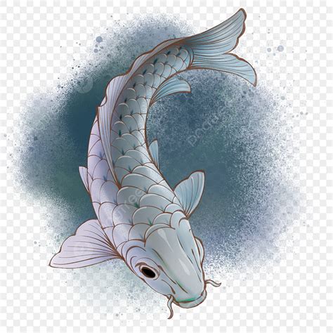 만화 손으로 그린 중국 스타일 수채화 잉어 무료 Png 만화 손으로 그린 중국 스타일 수채화 Png 일러스트 및 Psd 이미지 무료 다운로드 Pngtree