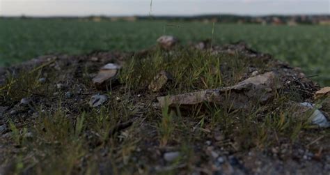 50 Off On 3d Scanning Tutorials