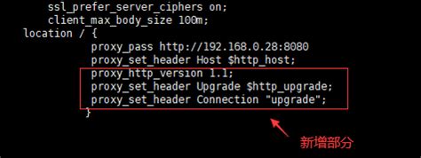 Nginx Server Configuration Supports Signalr Websocket Programmer All