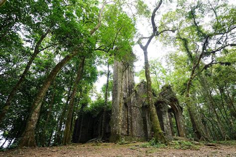 Ba Vi Jungle Paths 30 Nov 2024 Worlds Marathons