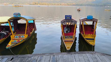 Kashmir Sex Garden Youtube