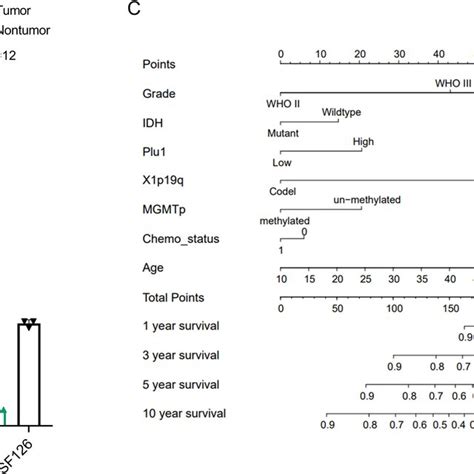 A Rt Qpcr Analysis Of The Mrna Expression Levels Of Plu1 In 12 Pairs