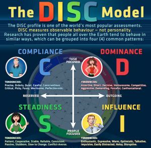 Disc Profiles Disc Facilitation Psychological Profiling Training