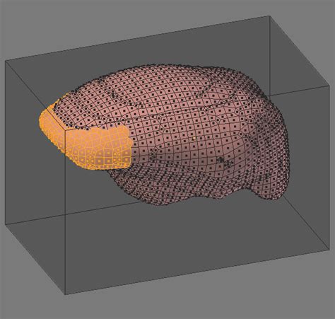 Two Vertex Groups Get Combined To Obtain An Adequate Transformation Of Download Scientific