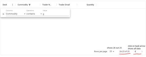 DataGrid Filter Shows Blank Screen If Rows Per Page Is More Than Filtereddata Issue