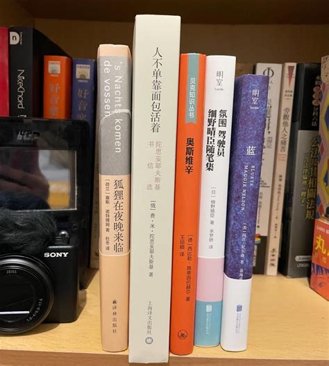 推薦讀簡體書中國出版的書嗎 對於沒有繁體中文版 或語言能力沒好到能啃原文的讀者而言 我認為簡體書是一個很棒的選擇 尤其很多作品