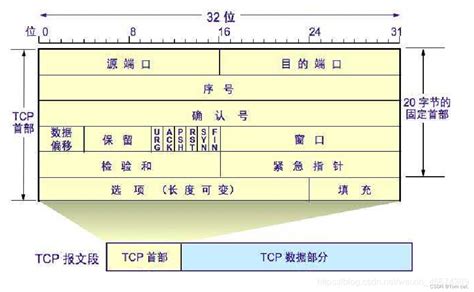Tcp与udp协议详解:面向连接与无连接的区别与应用场景 Csdn博客 Tcp与udp协议详解:面向连接与无连接的区别与应用场景 Csdn博客