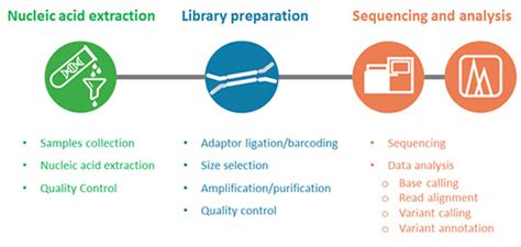 Ngs Workflow And Fundamentals Of Sample Preparation Enzo
