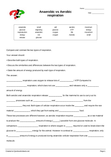 Difference Between Aerobic And Anaerobic Bacteria 44 OFF