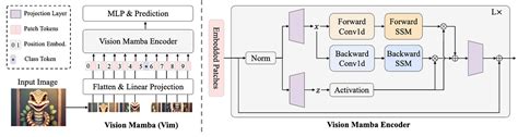 Mamba Vision Efficient Visual Representation With Bidirectional State Space Models By Soroush