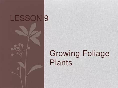 ppt lesson 9 powerpoint presentation free download id 9345724