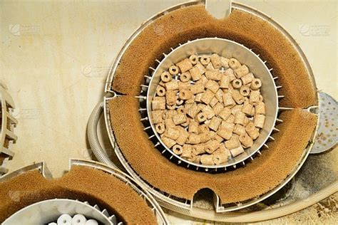 清洗鱼缸的过滤器 清洗鱼缸的过滤器