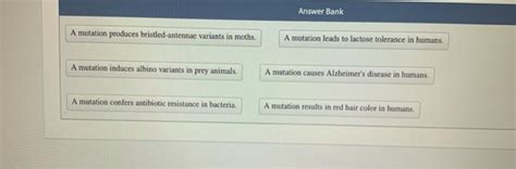 Solved Classify Each Mutation Example As Definitely