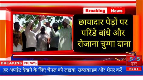 निहाली माता मंदिर में कांग्रेस नेता डॉ आरसी यादव के नेतृत्व में