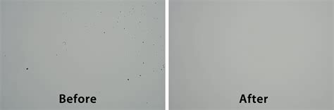 Sensor Cleaning Service Beau Photo Supplies Inc