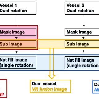 Algorithm To Make Various Fusion Images VR Volume Rendering MPR