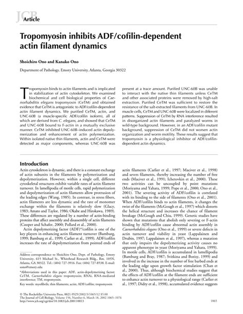 Pdf Tropomyosin Inhibits Adfcofilin Dependent Actin Filament Dynamics