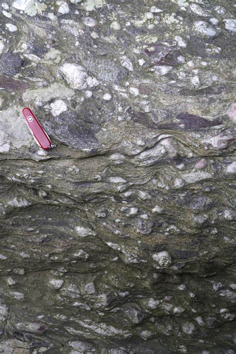 Deformed Metaconglomerate Vertical Geology Pics