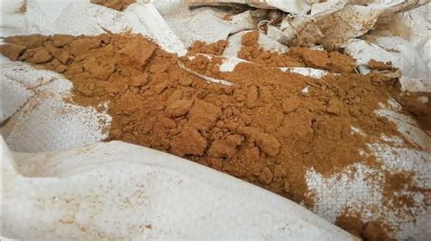 И снова БАРДА И снова Сухая 😂🤣😜 Youtube