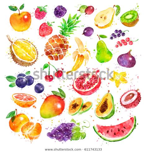Стоковая иллюстрация «Ручной рисунок акварелью набор иллюстраций фруктов 611743133 Fruit