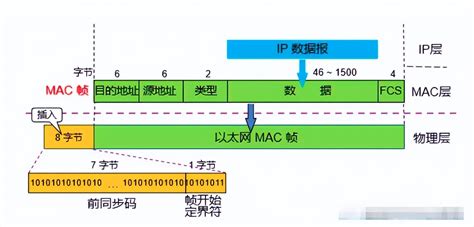 网络必修课：以太网报文格式详解 阿里云开发者社区