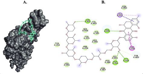 Binding Interaction Of Ligands With The Lowest Binding Energy Download Scientific Diagram