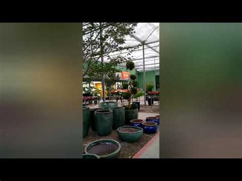 Top 10 dos hortos no Rj - YouTube