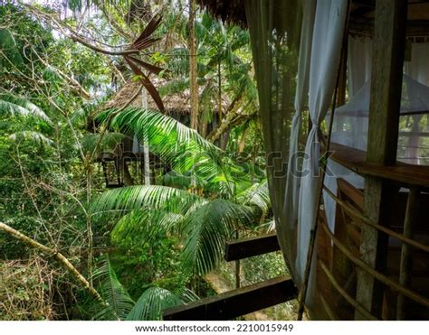 Glamping Accommodation Amazon Rainforest Wooden Treehouse Stock Photo Shutterstock