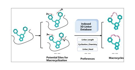 Macgen A Web Server For Structure Based Macrocycle Design Journal Of Macgen A Web Server For Structure Based Macrocycle Design Journal Of